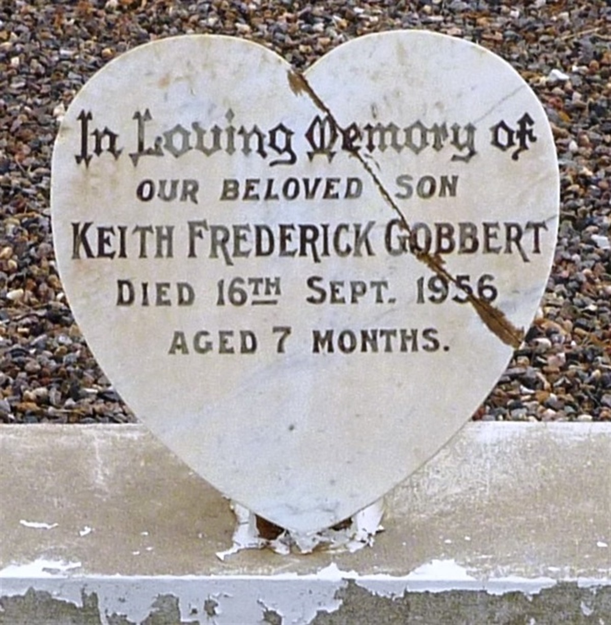 GOBBERT | McKinlay Shire Council