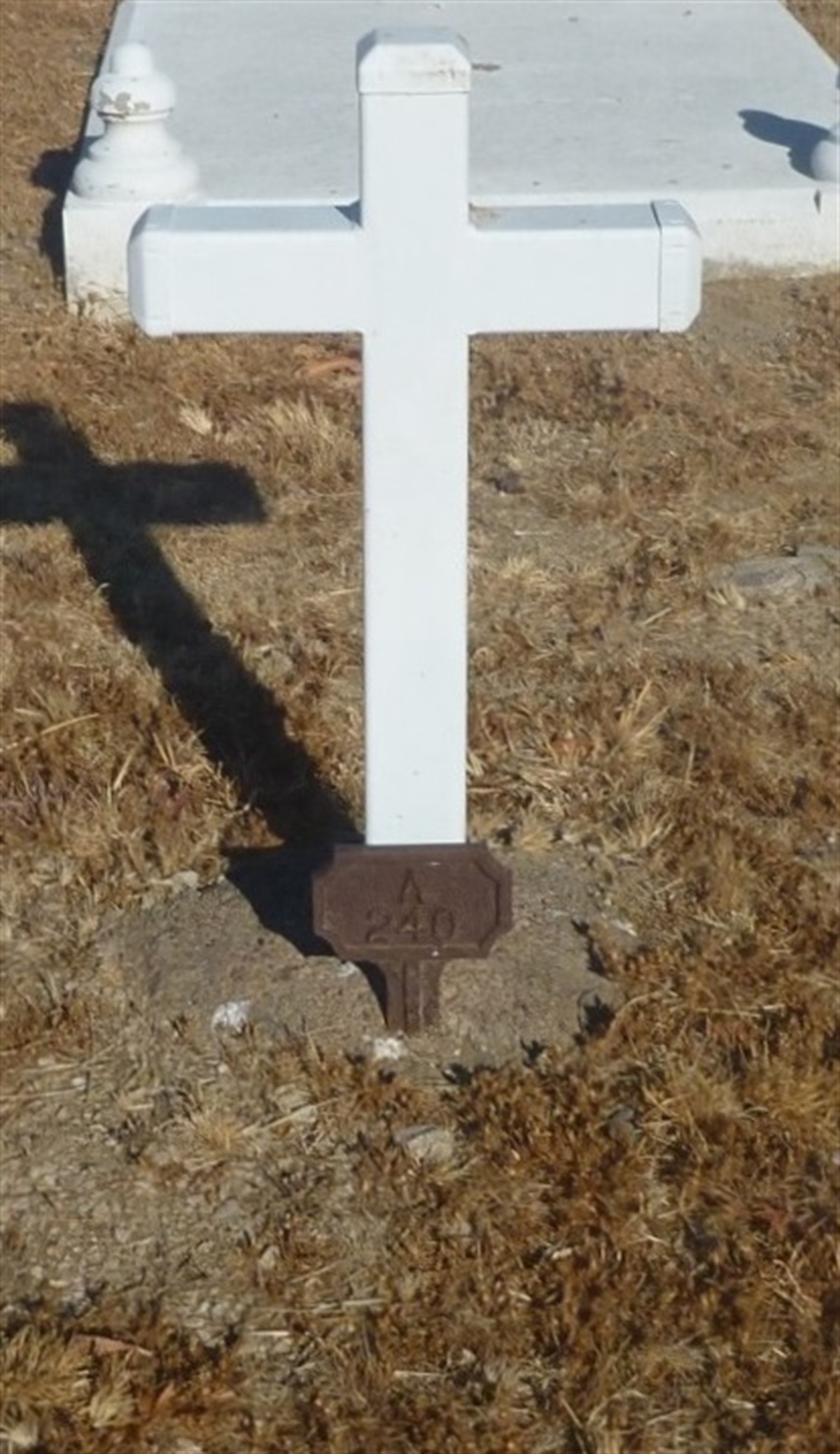 MITCHELL | McKinlay Shire Council